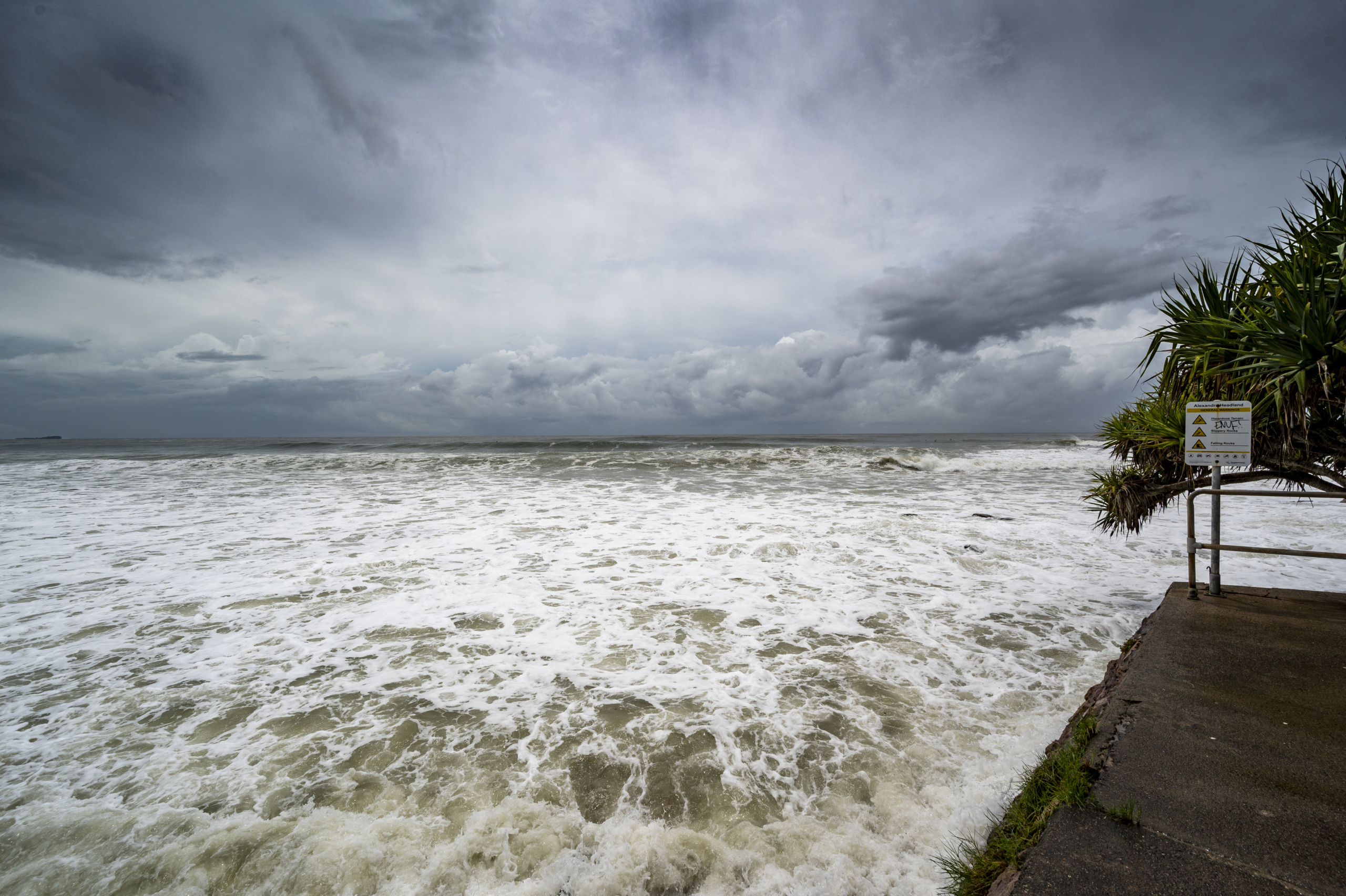 How realistic are simulated tropical cyclones in nextGEMS?